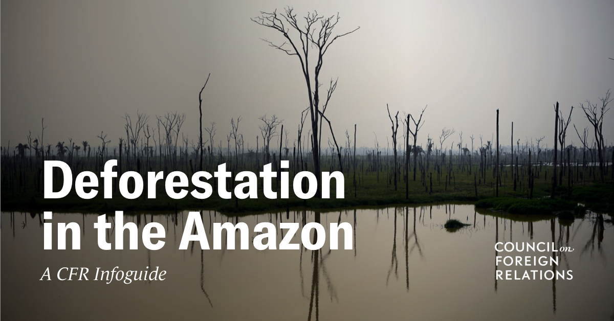 Deforestation in the Amazon - Council on Foreign Relations